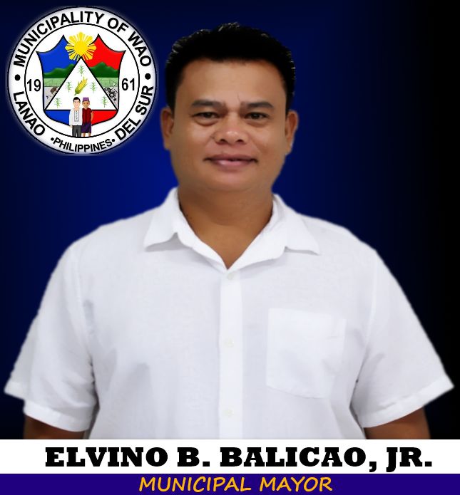 Office of the Municipal Mayor | WAO